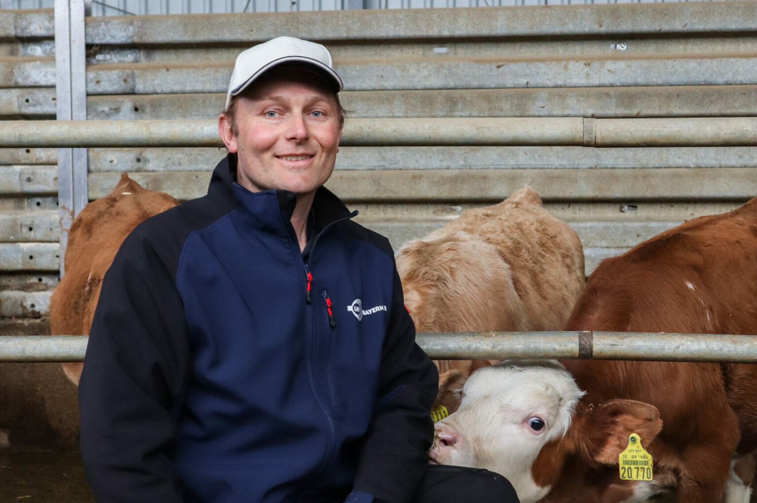 Fresser im Außenklimastall aufziehen - LKV Bayern