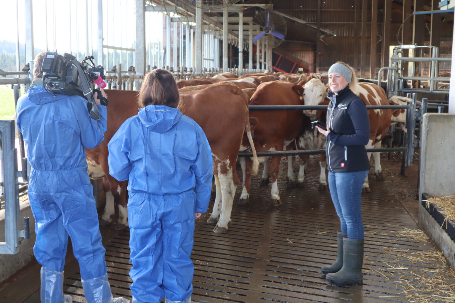 Tinder für Rinder oder Herzblatt für die Kuh - LKV Bayern
