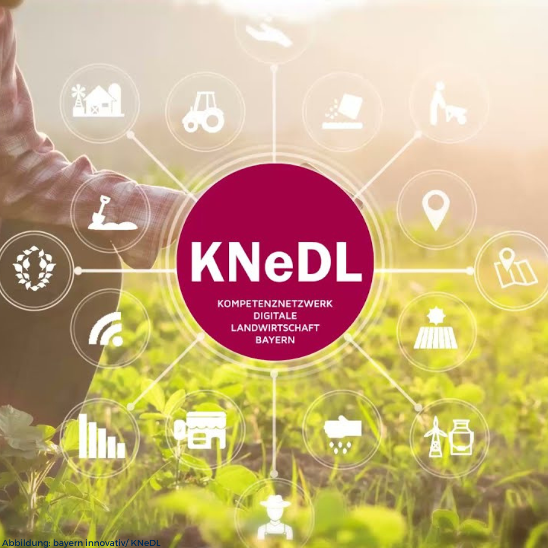 Kompetenz-Netzwerk KNeDL: Innovative Lösungen für eine nachhaltige ...